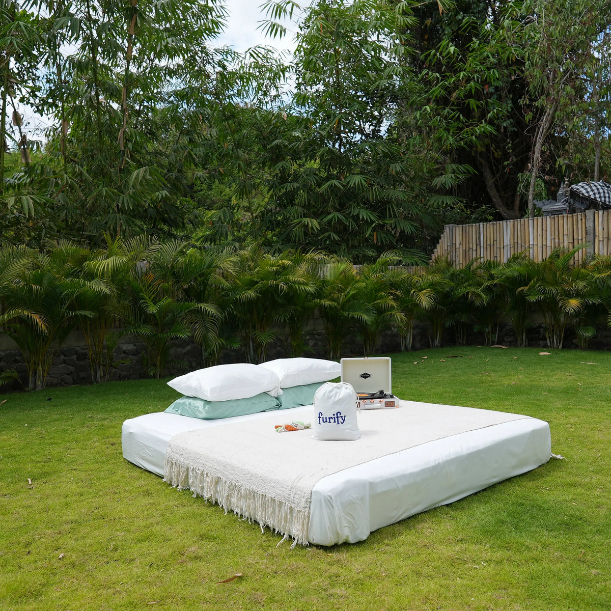 Colors Can Affect Your Pet’s Mood – So Choose Wisely – Furify