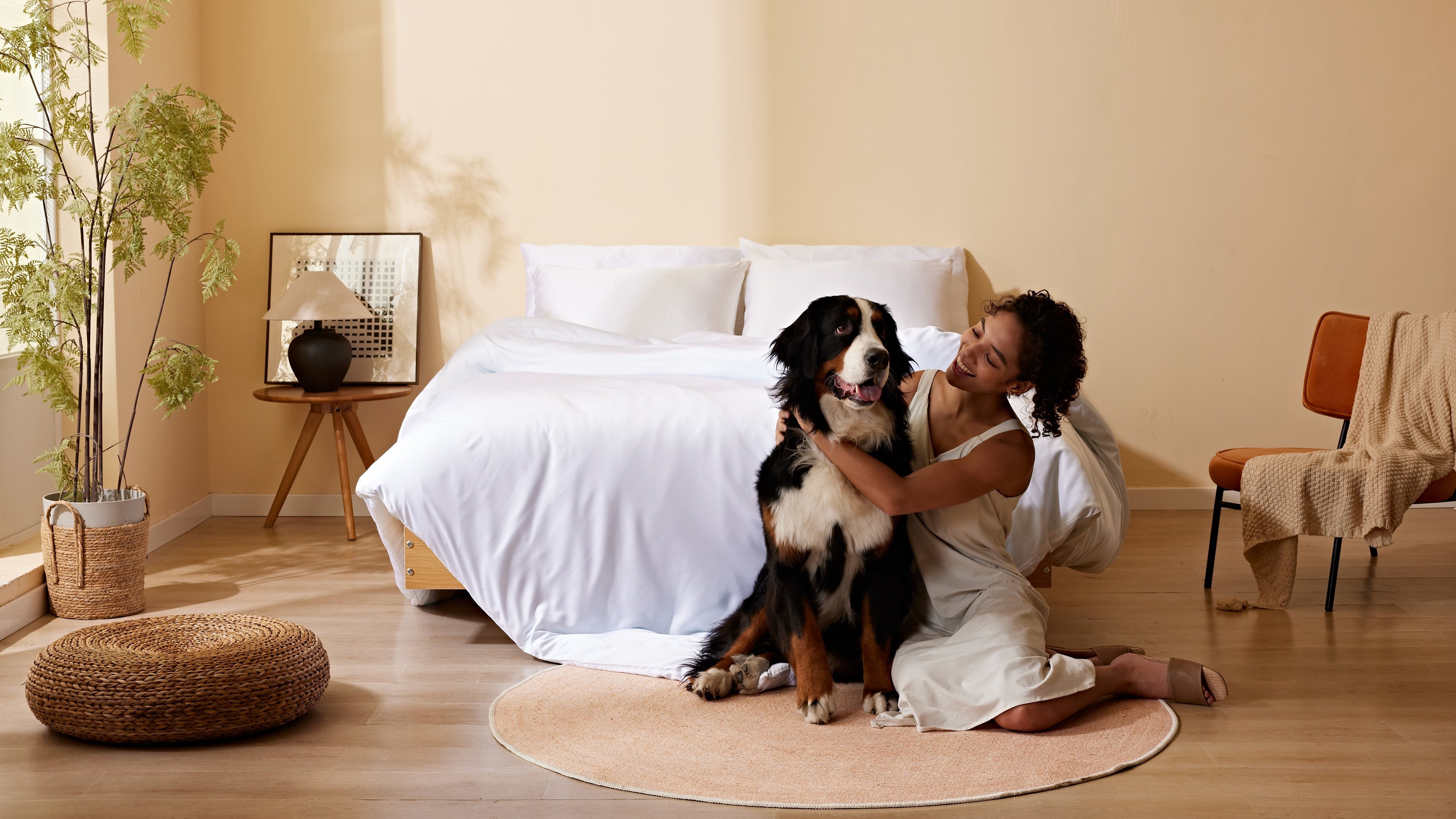 Furify® | Your pet's favorite sheets.