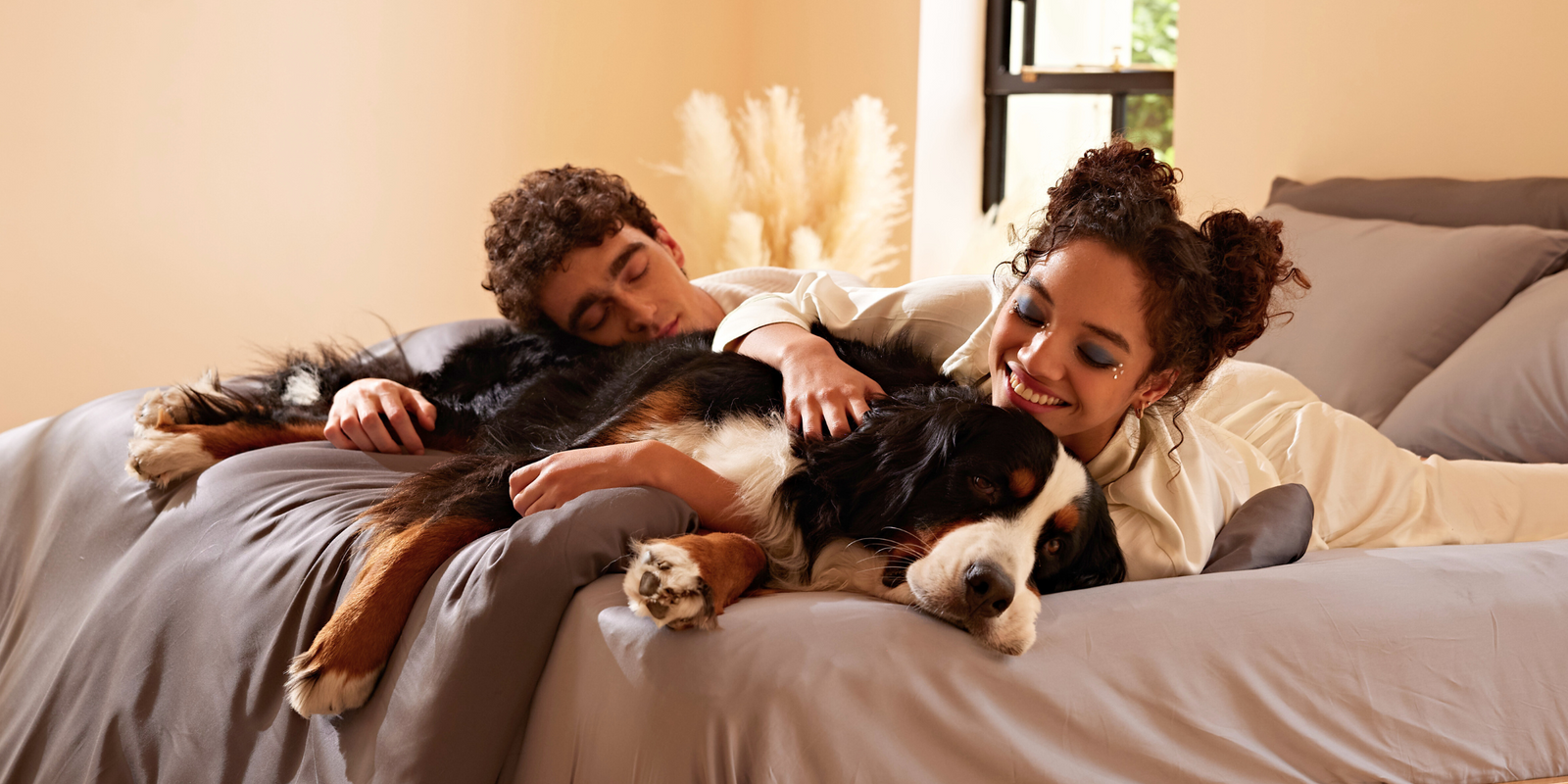 Furify® | Your pet's favorite sheets.