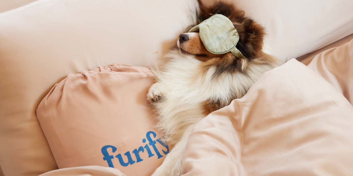 Furify® | Your pet's favorite sheets.