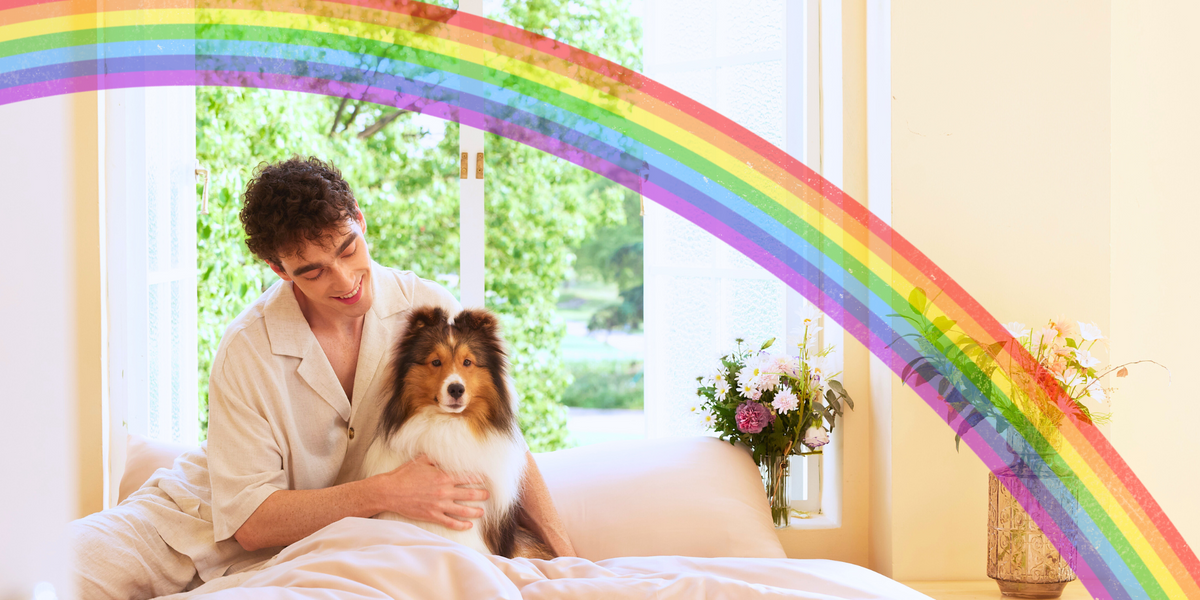 Furify® | Your pet's favorite sheets.